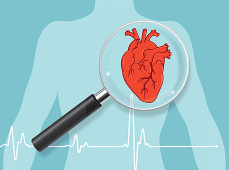High Blood Pressure and Heart Disease: What You Need to Know