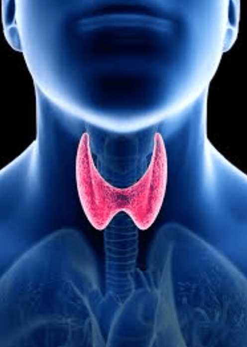 What Are The Different Types of Thyroid Disease?